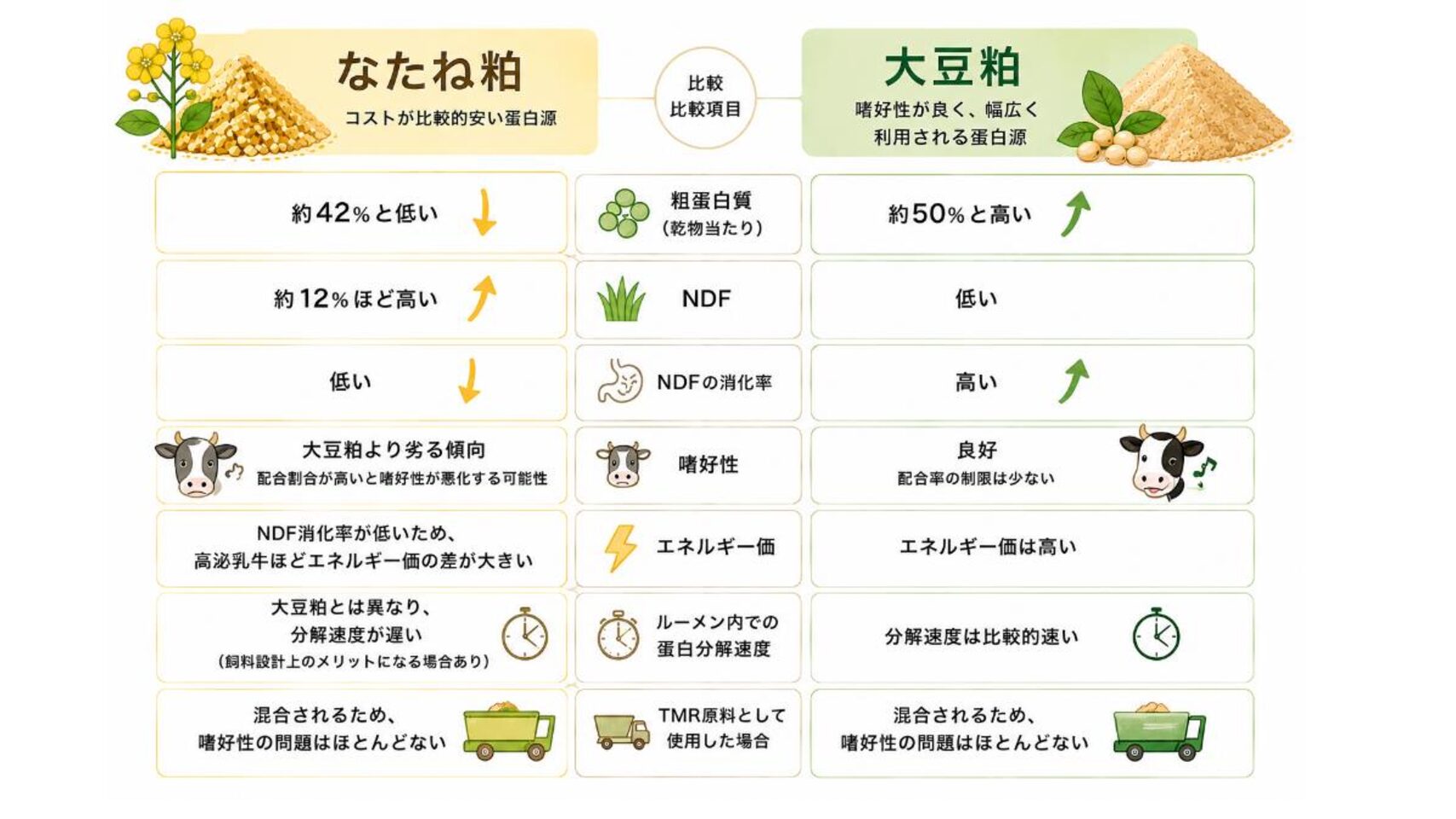 配合飼料原料の再点検（4）なたね粕 – 株式会社 八千穂TMRセンター